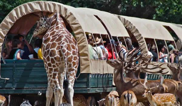 Global Wildlife Center