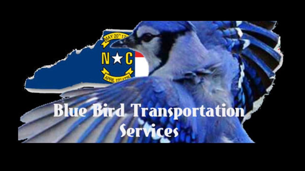 Blue Bird Transportation
