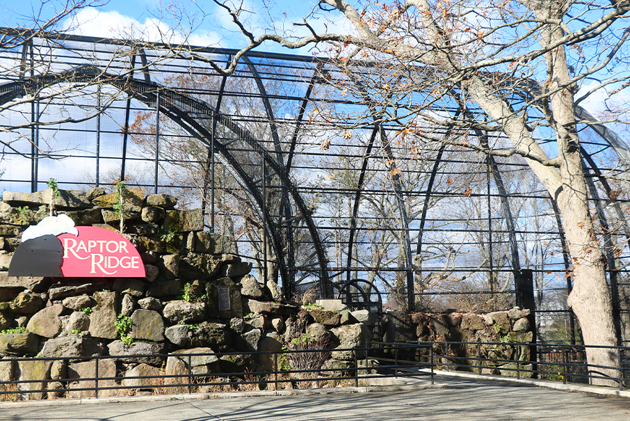 Raptor Ridge at Franklin Park Zoo - Boston MA, 02121