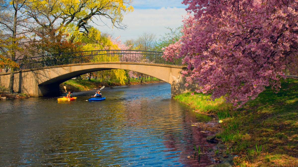 Paddle Boston - Waltham MA, 02453