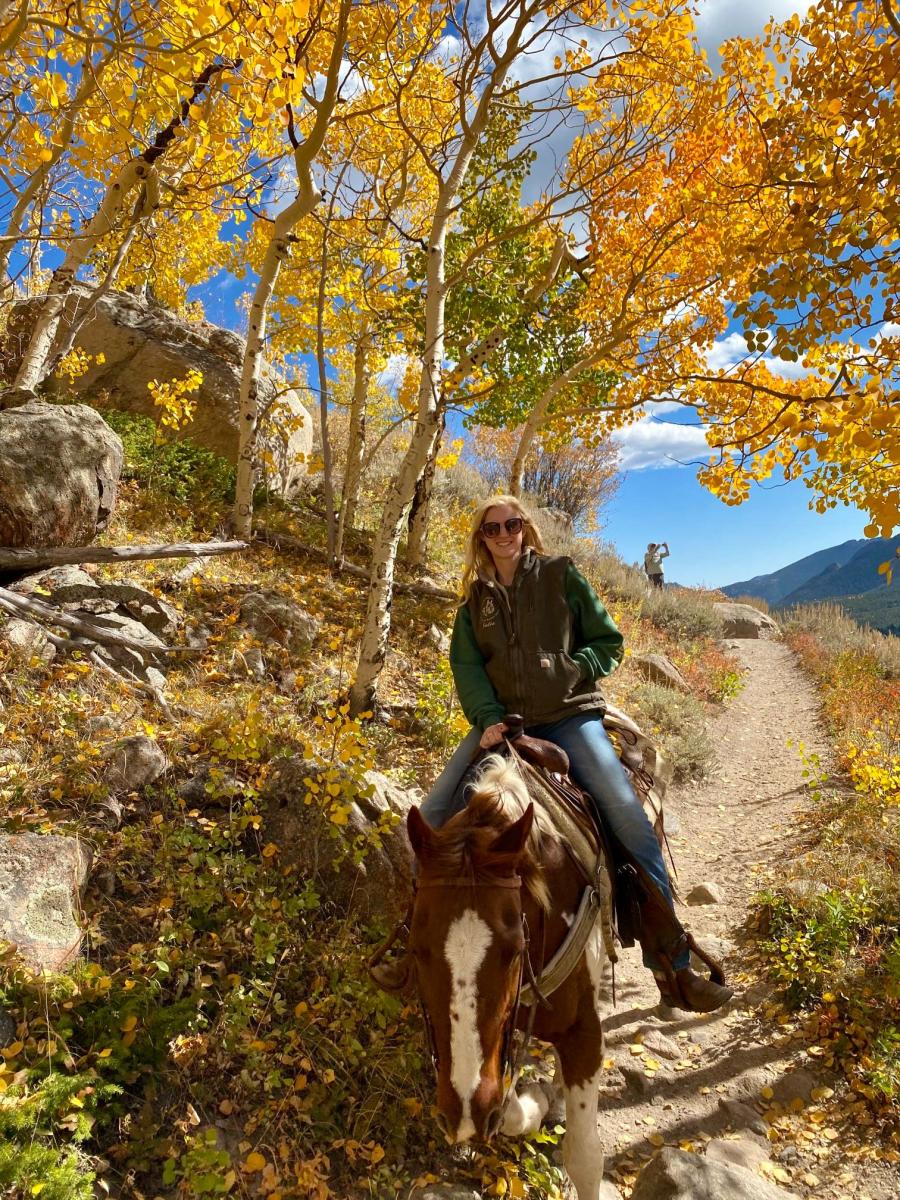 Horseback, Pony and Hay Rides for the Family in and Around the Majestic ...