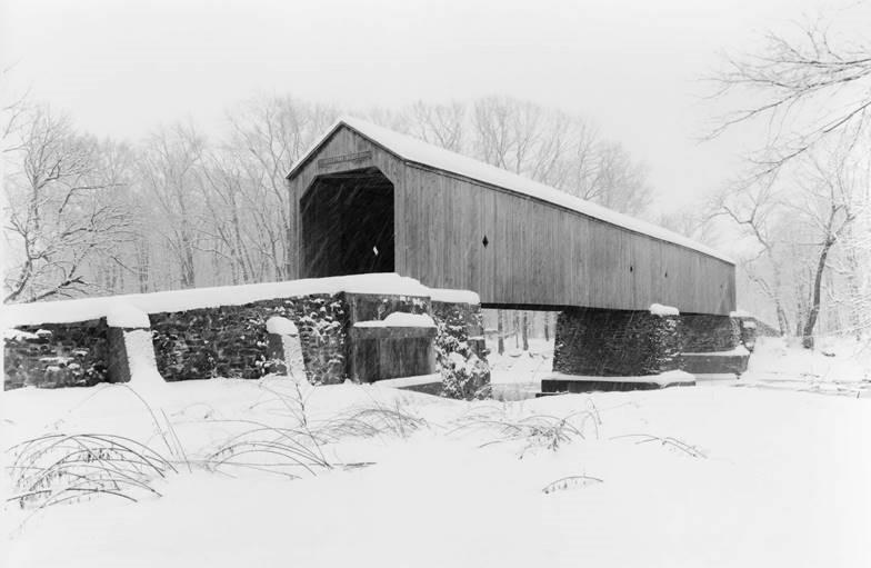 Dafyyd Jones Photography