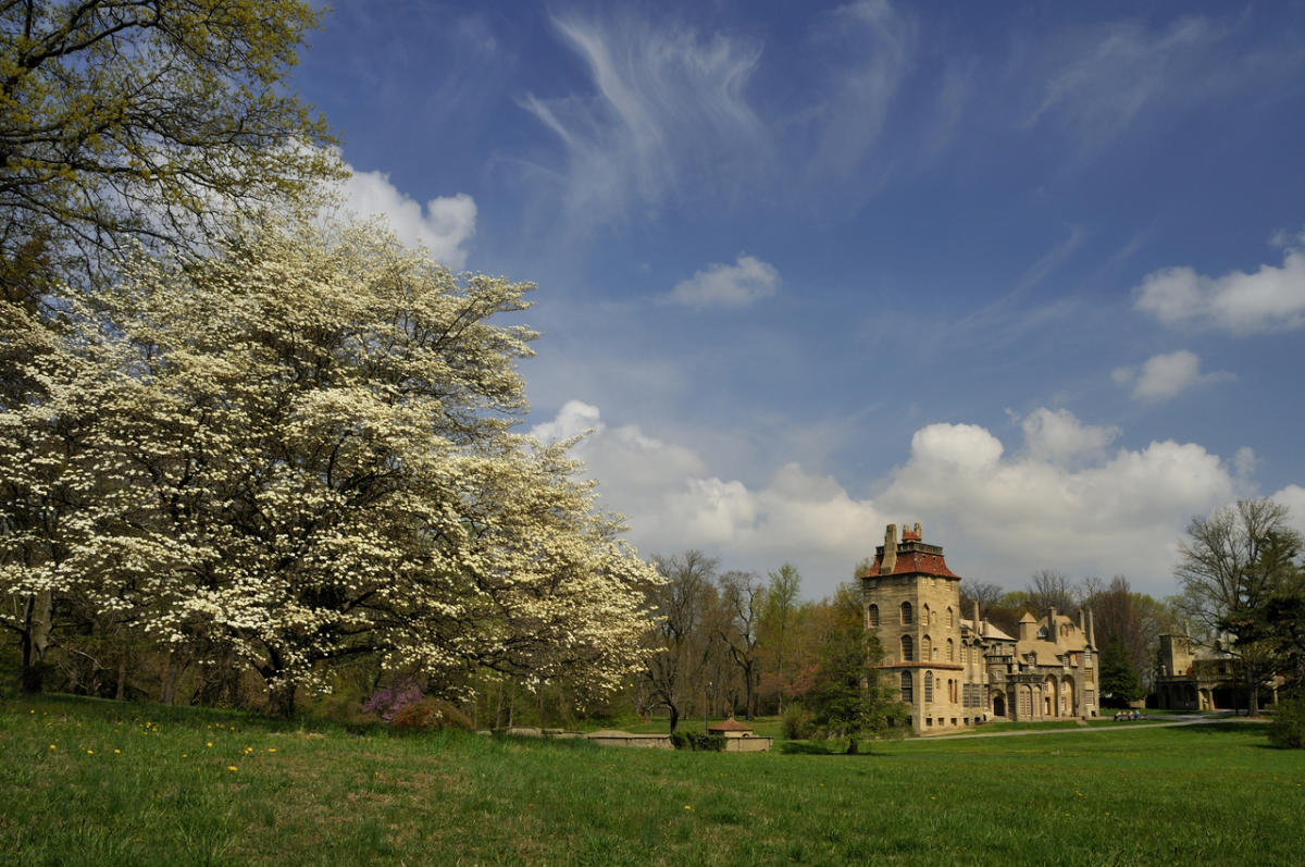 Fonthill Park