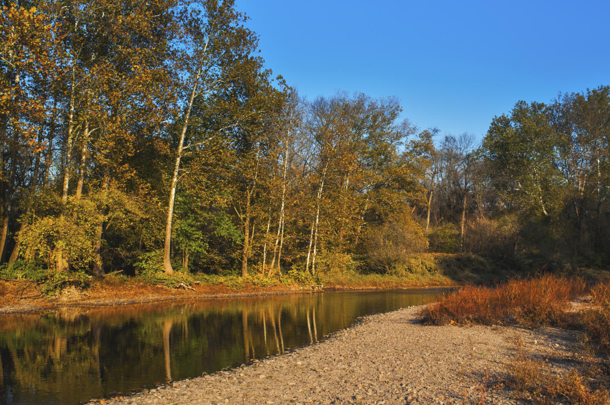 Playwicki Park