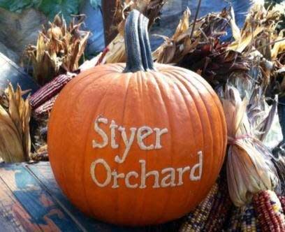 Styer Orchard