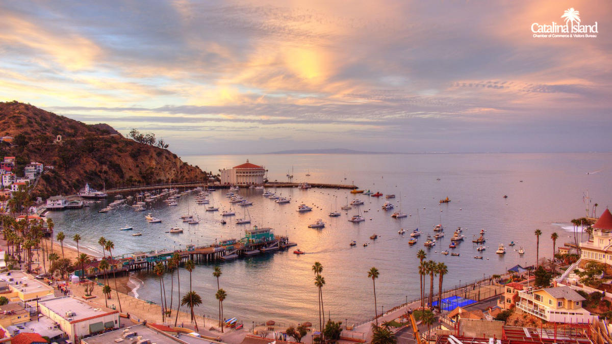 Love Catalina Island | Catalina Island