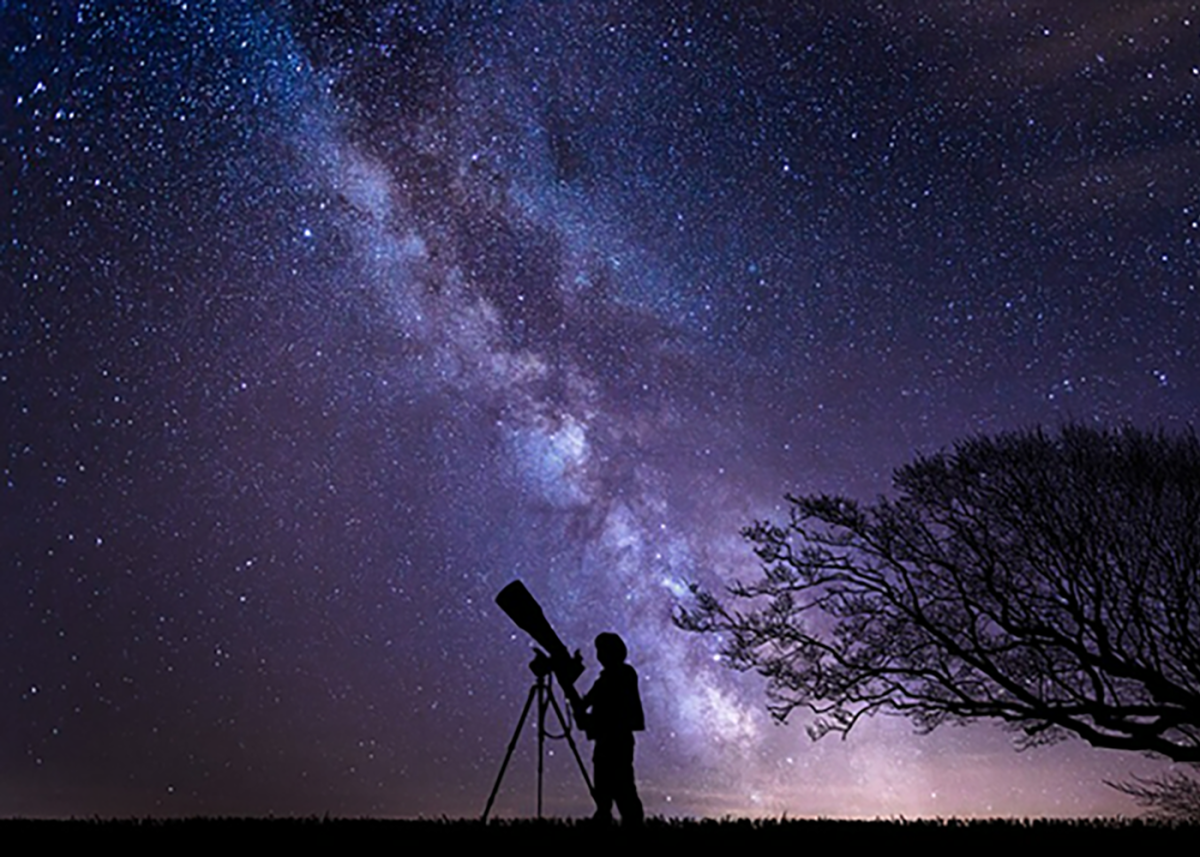 Starry Night Florida