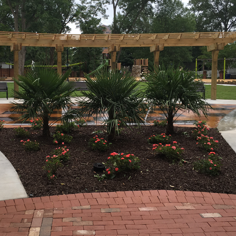 Historic Elmwood/Roy Lynch Park