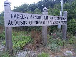 Packery Channel Oak Motte Sanctuary | Corpus Christi, TX