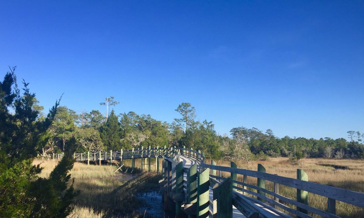 Cedar Point Tideland Trail | Swansboro, NC