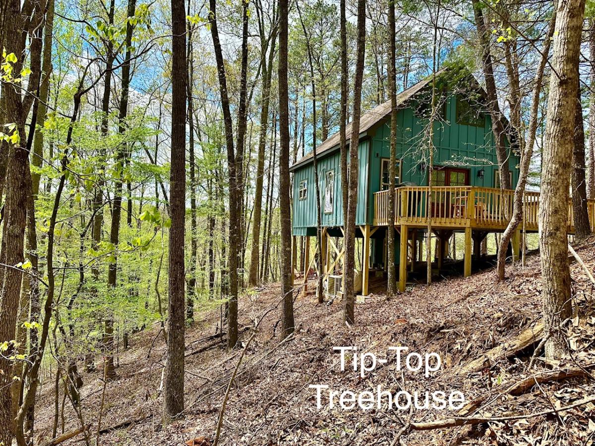 Tip Top Treehouse
