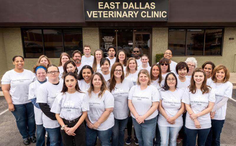 East Dallas Veterinary Clinic