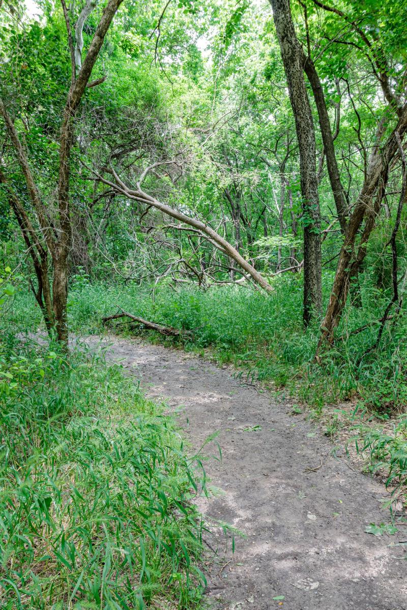 Rowlett Creek Preserve