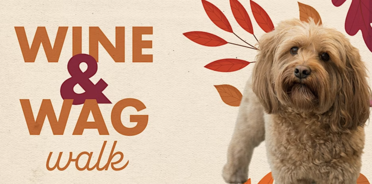 Wine and Wag Walk
