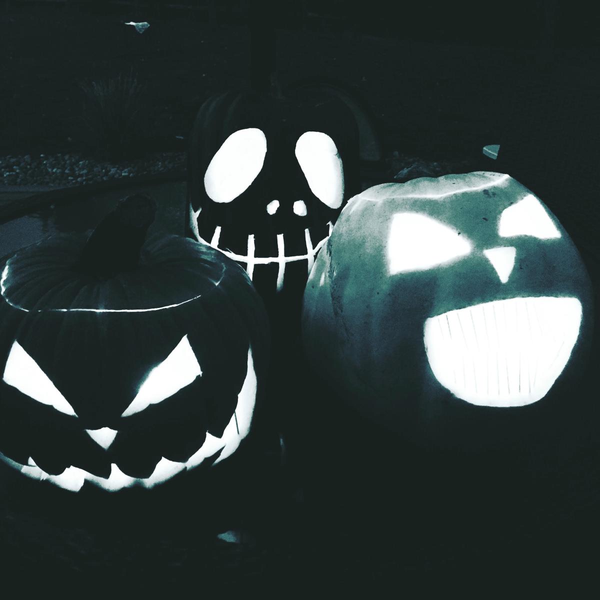 Horsefly History Tours