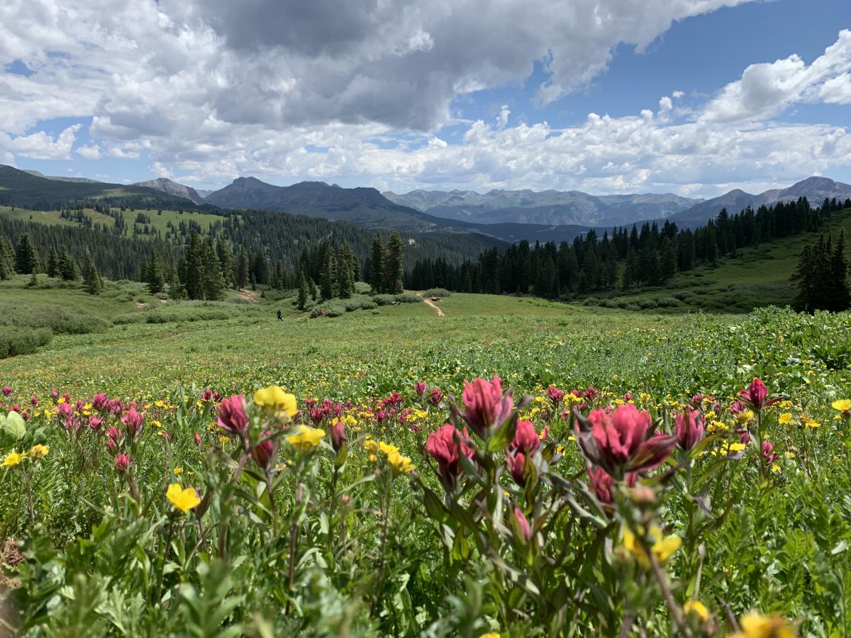 Durango Experience | Visit Durango, CO | Official Tourism Site