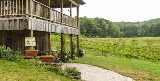 Cedar Creek Vineyards