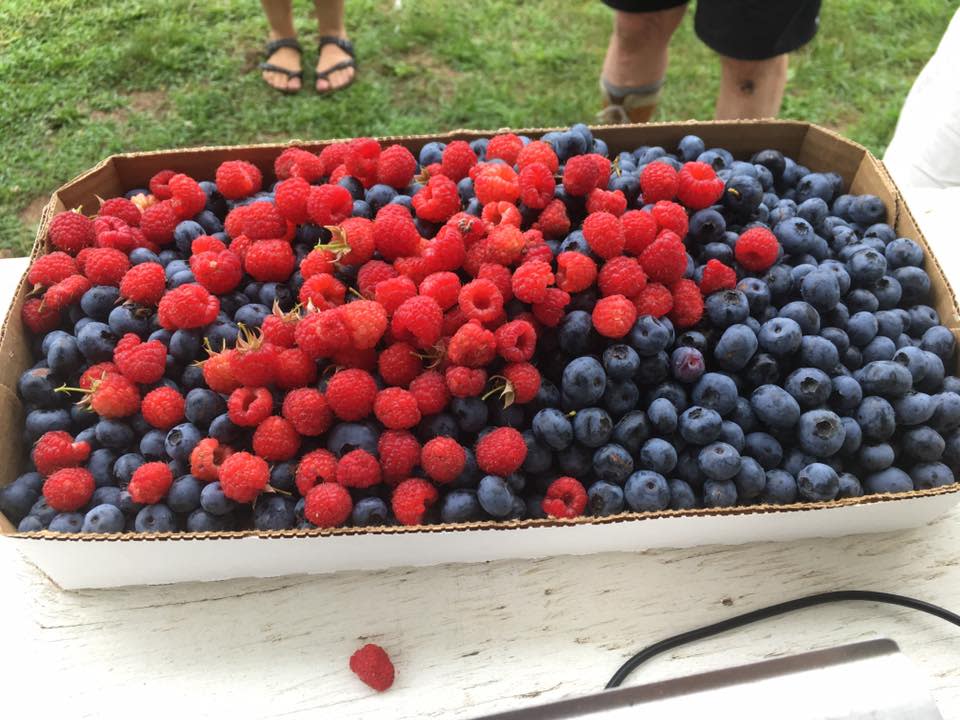 Little Berry Farm | Eau Claire, WI 54701