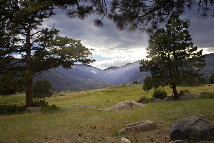 Estes Park Tour Guides