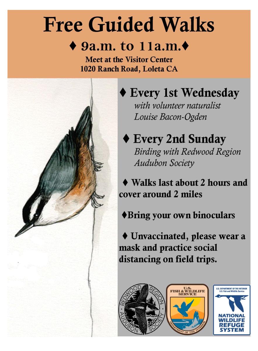 Guided Nature Walk at Wildlife Refuge