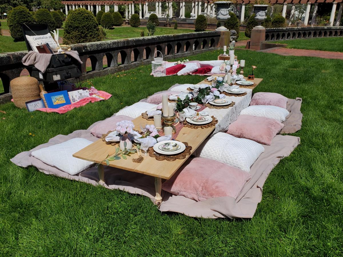 FLX Pop-Up Picnics