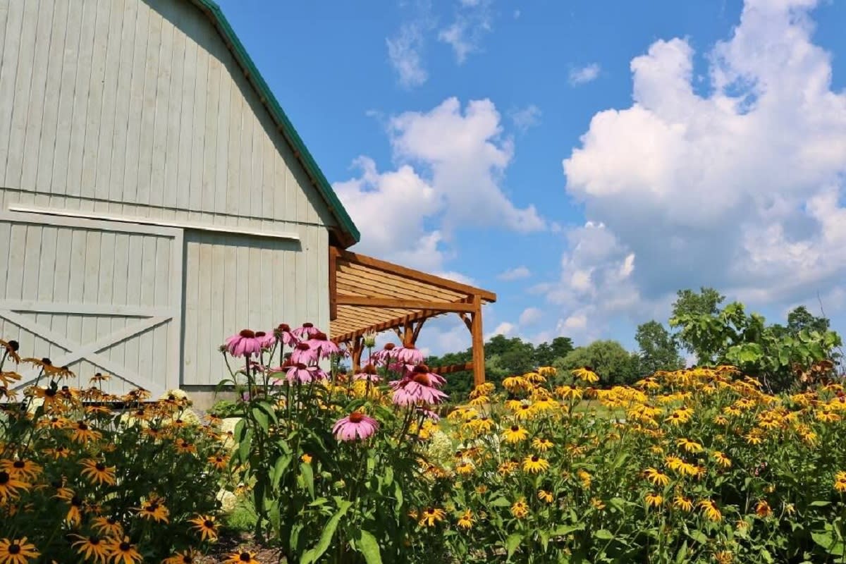 Finger Lakes Museum | Branchport, NY