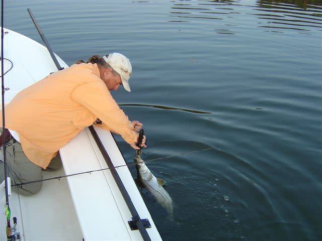 Flagler Fishing Charters | Flagler Beach, FL 32136