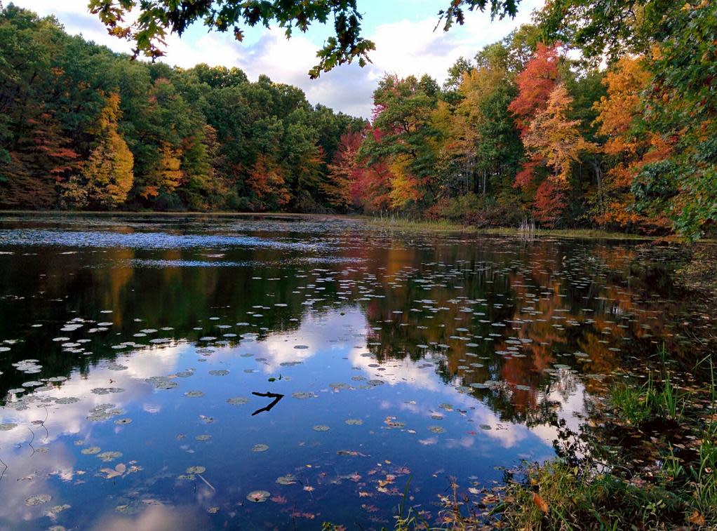 Holly Recreation Area