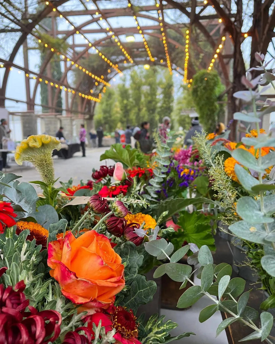 Vineyard Farmer's Market