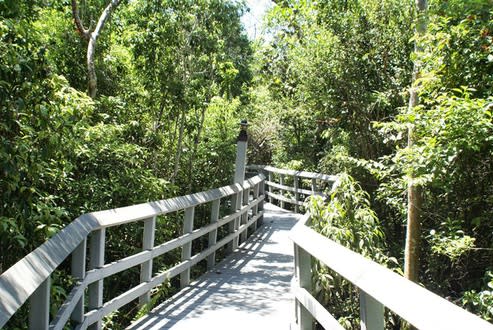FERN FOREST NATURE CENTER