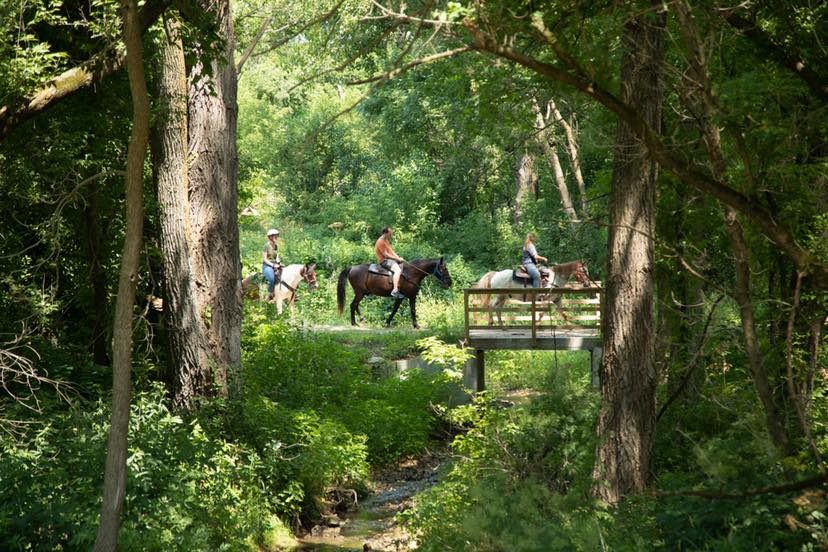 Shenandoah Riding Center