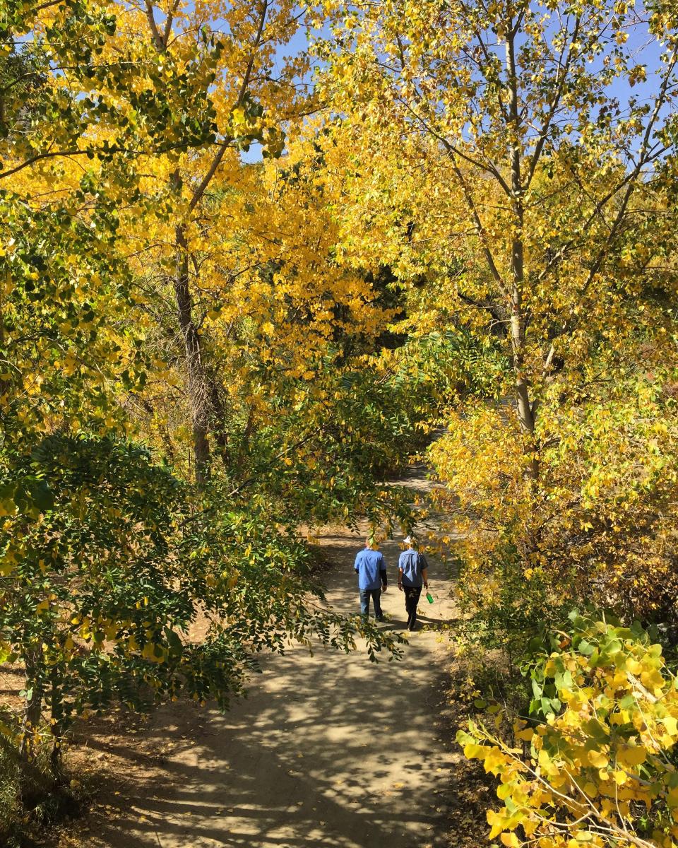Clear Creek Trail Access