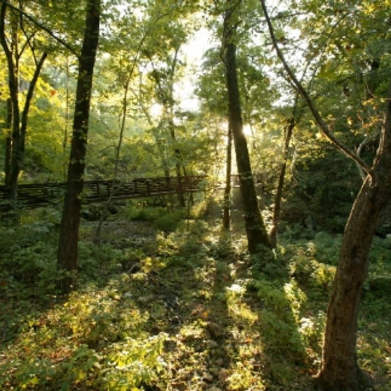 First Day Hike at Natural Falls State Park | Green Country Oklahoma ...
