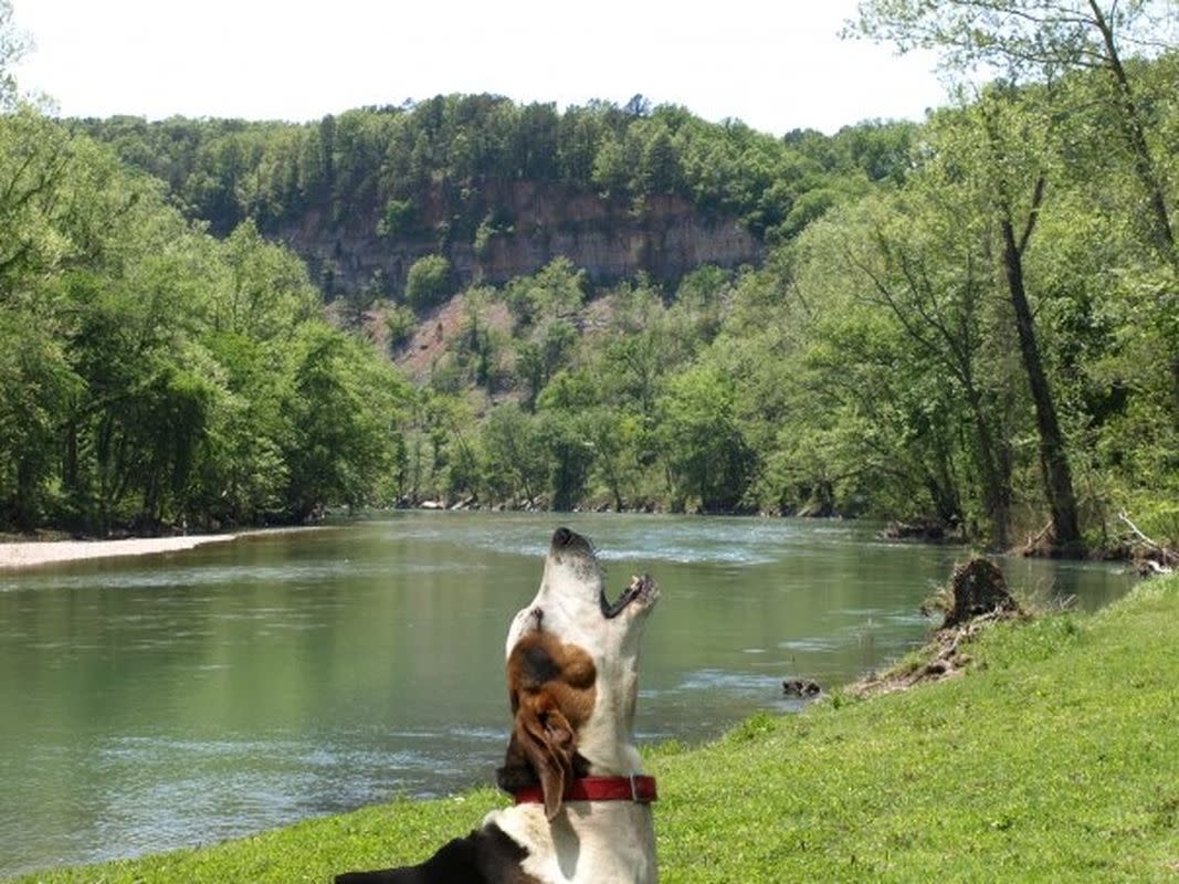 Red Fern Festival | Green Country Oklahoma | Official Site