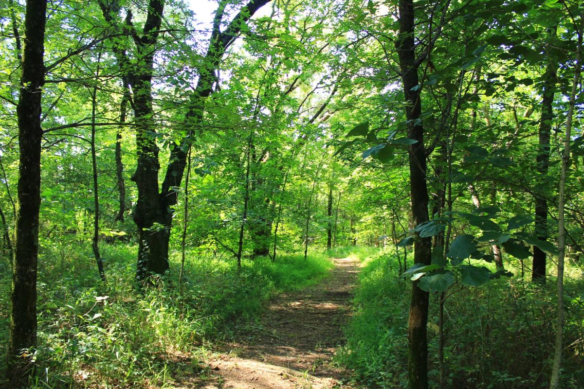Sequoyah State Park Trail System | Green Country Oklahoma | Official Site