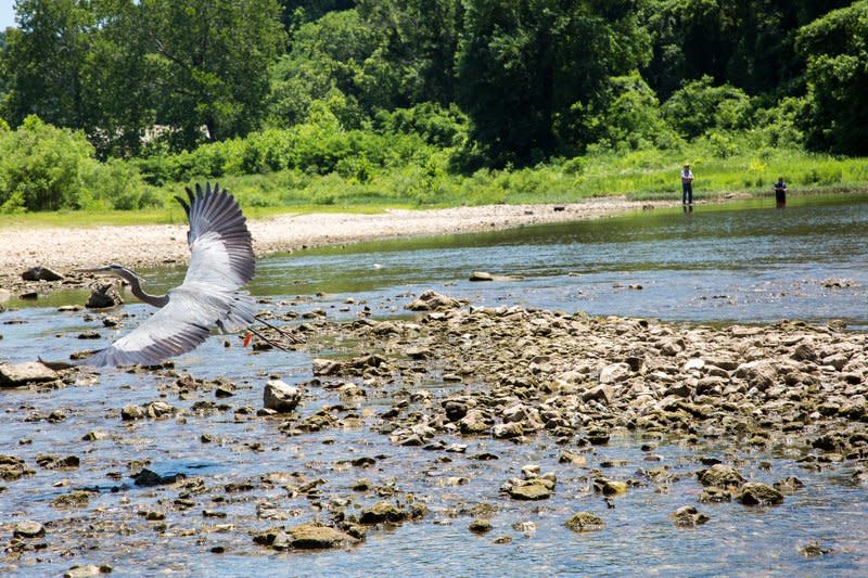 Spavinaw Area at Grand Lake State Park | Green Country Oklahoma ...