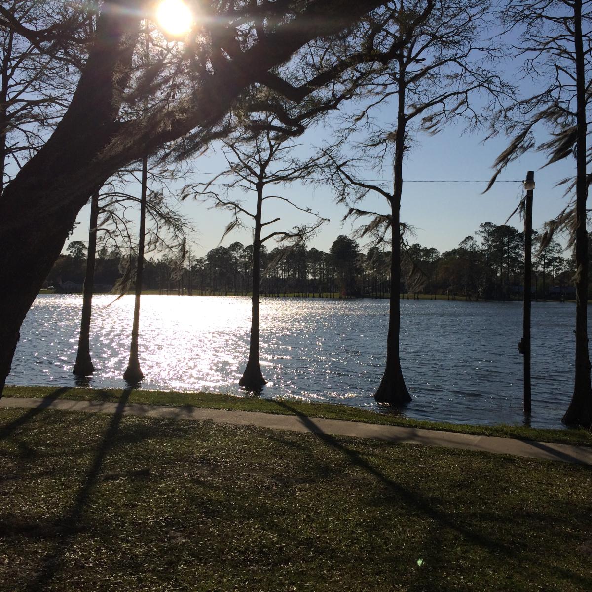 Lake Alice Park