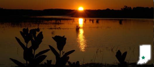 Goose Pond Fish and Wildlife Area