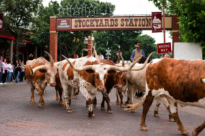 Stockyards Station