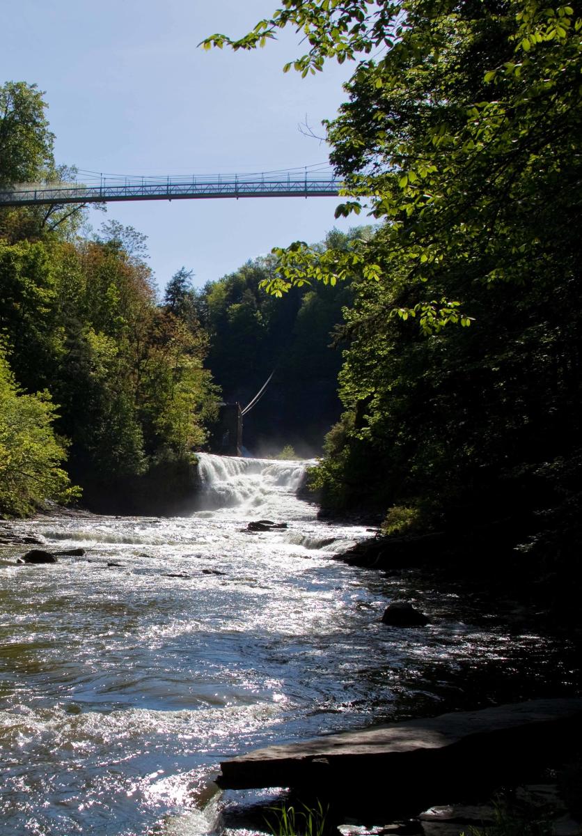 Foaming Falls on Fall Creek / Cornell Natural Areas