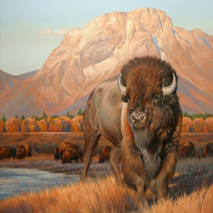 Mountain Trails Gallery