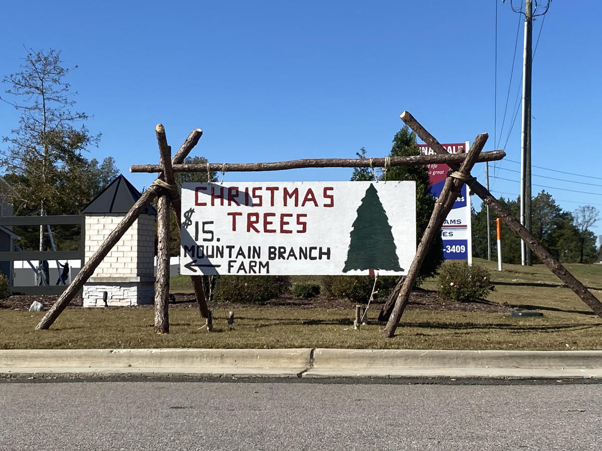 Mountain Branch Farm
