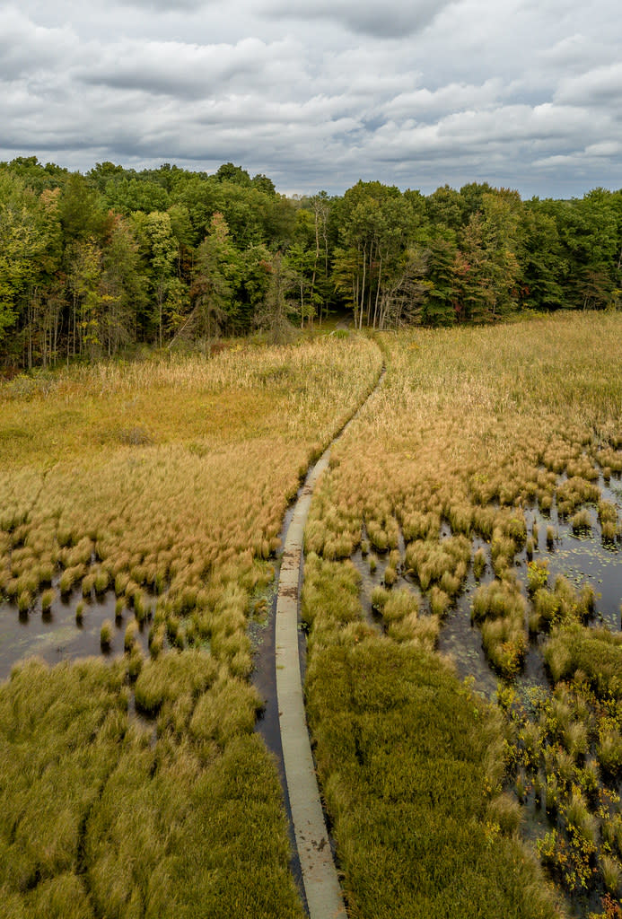 Bishop's Bog Preserve