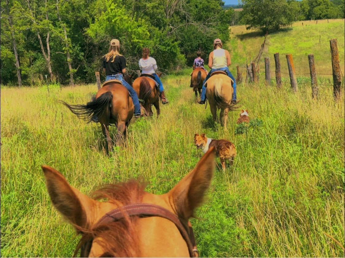 Watkins C Ranch - Leavenworth KS, 66048