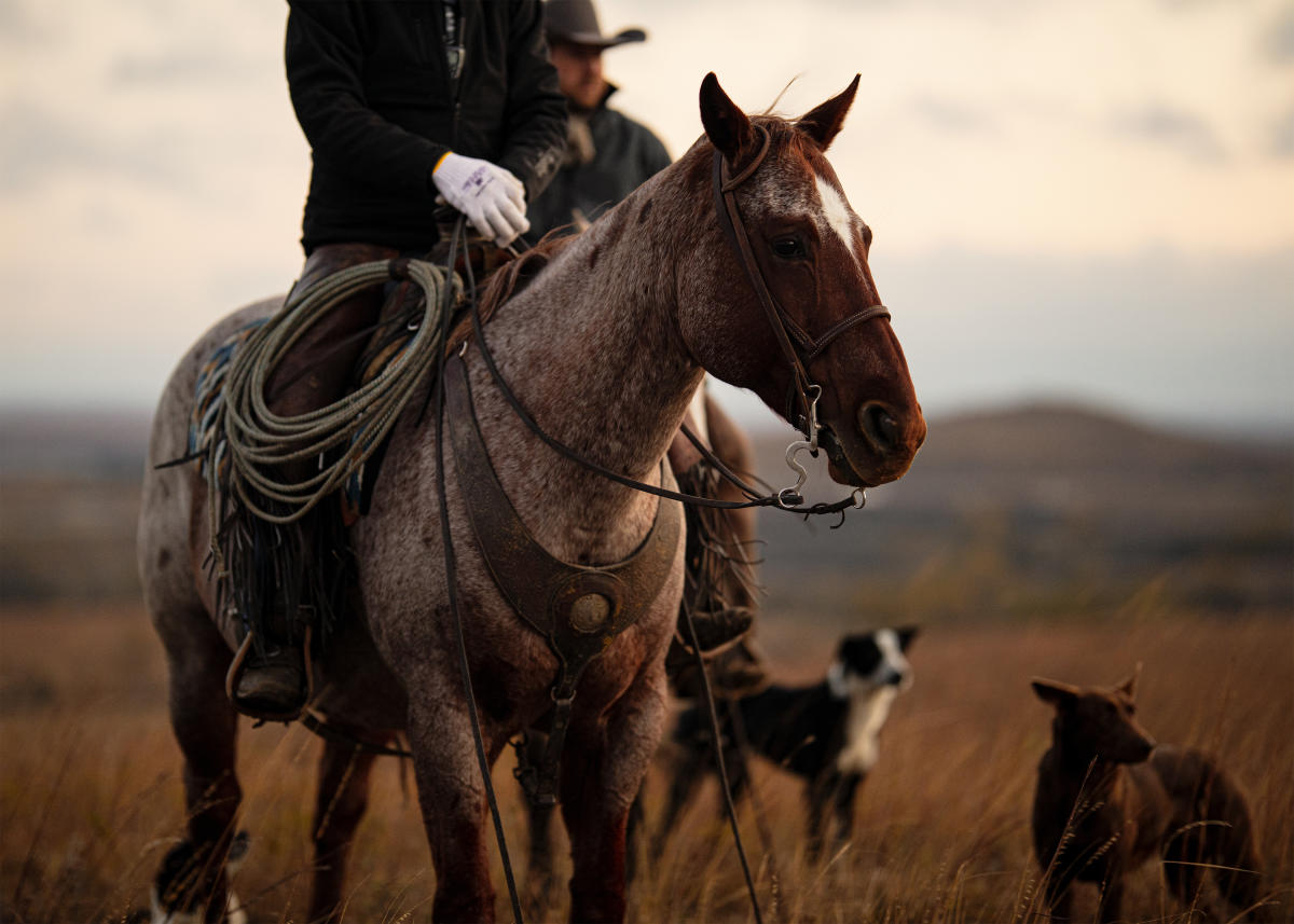 T-Bar Ranch - Goodland KS, 67735