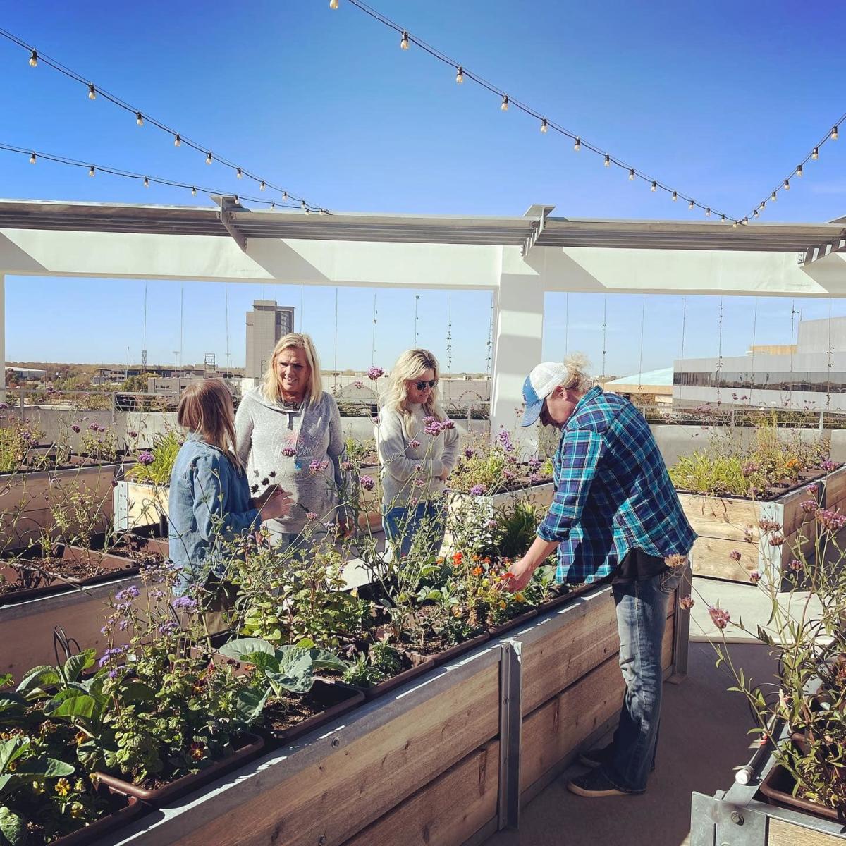 RISE Farms - Wichita KS, 67202