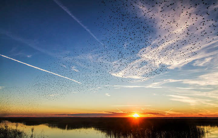 Cheyenne Bottoms Scenic Overlook - Hoisington KS, 67544
