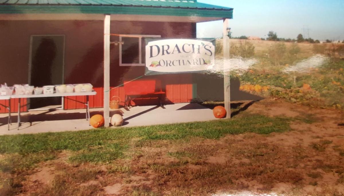 Drach's Farm & Orchard