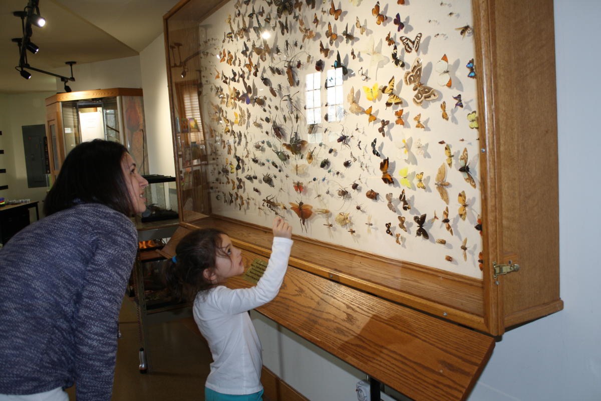 K-State Insect Zoo - Manhattan KS, 66506