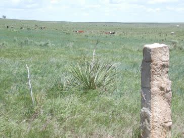 Santa Fe Companion Trail - Cimarron National Grassland - Elkhart KS, 67950